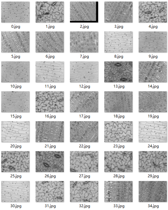 Bohrium | AI for Science with Global Scientists